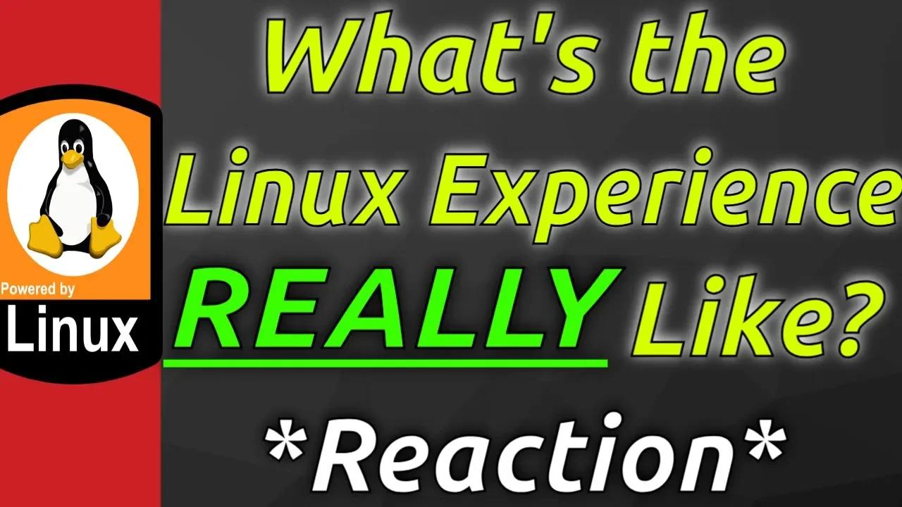 The Linux Experience *Reaction*