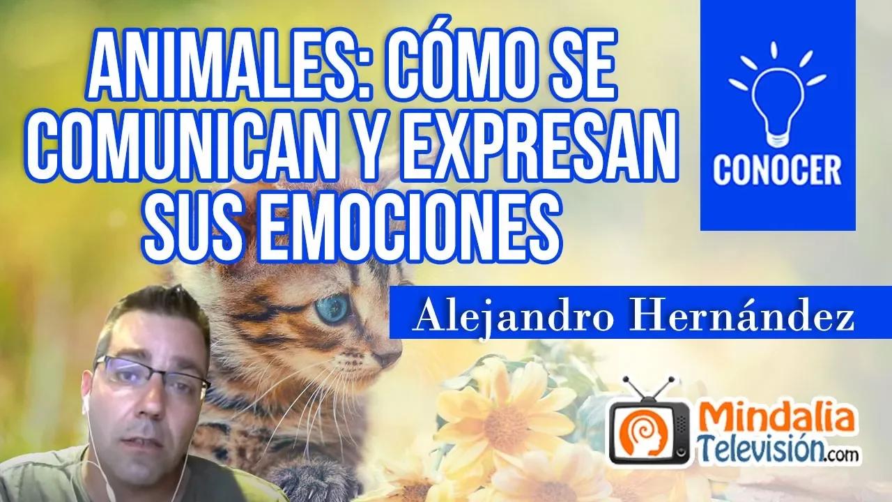 Animales: Cómo se comunican y expresan sus emociones, por Alejandro ...