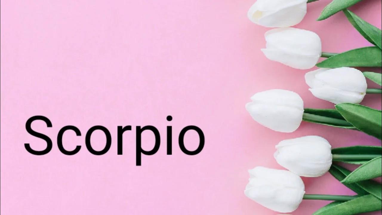 Scorpio ♏ Medium Message from your Son