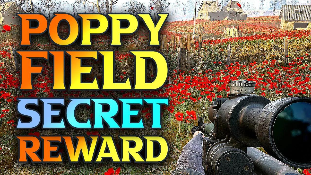 Stalker 2 Poppy Field Cellar Walkthrough