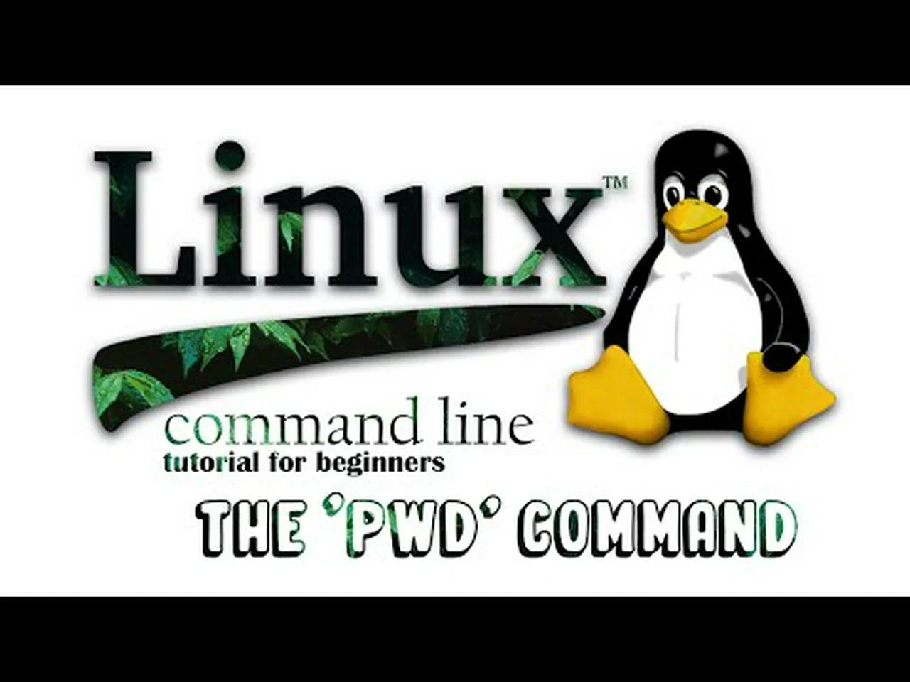 Linux Command Line Tutorial For Beginners 3 - PDW COMMAND
