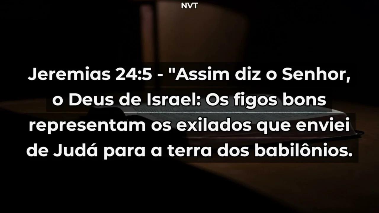 O que esta escrito em Jeremias 24 #biblia