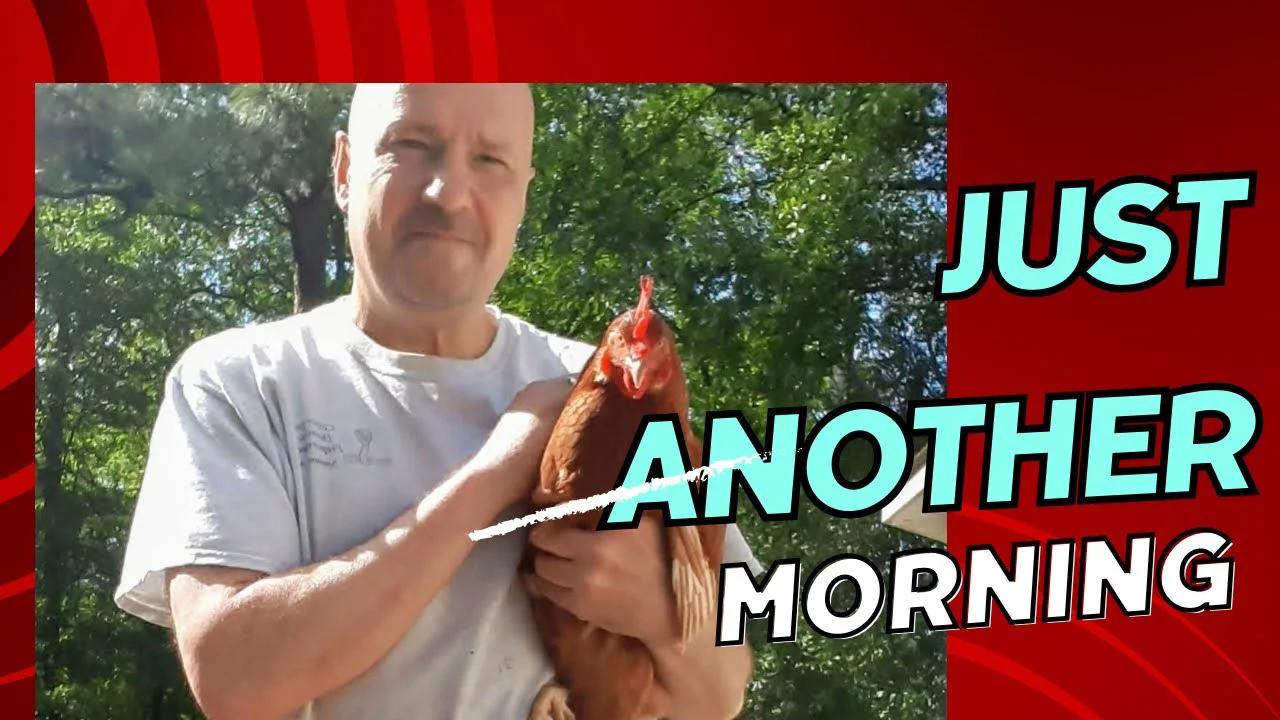 just another morning