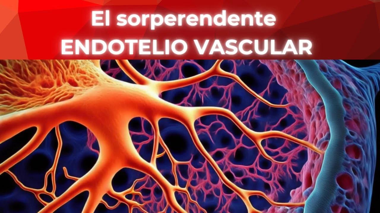 ENDOTELIO