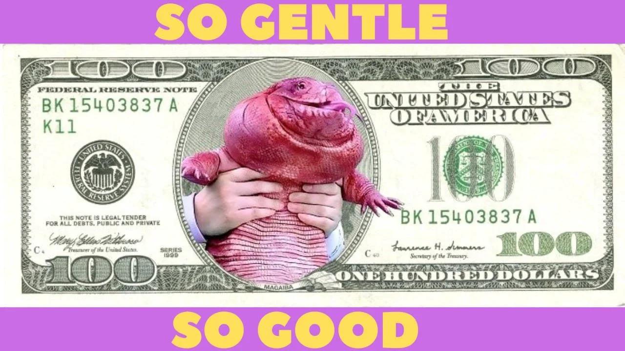 🚀MAGAIBA🚀MEME COIN ARGENTA EXPLOTANDO
