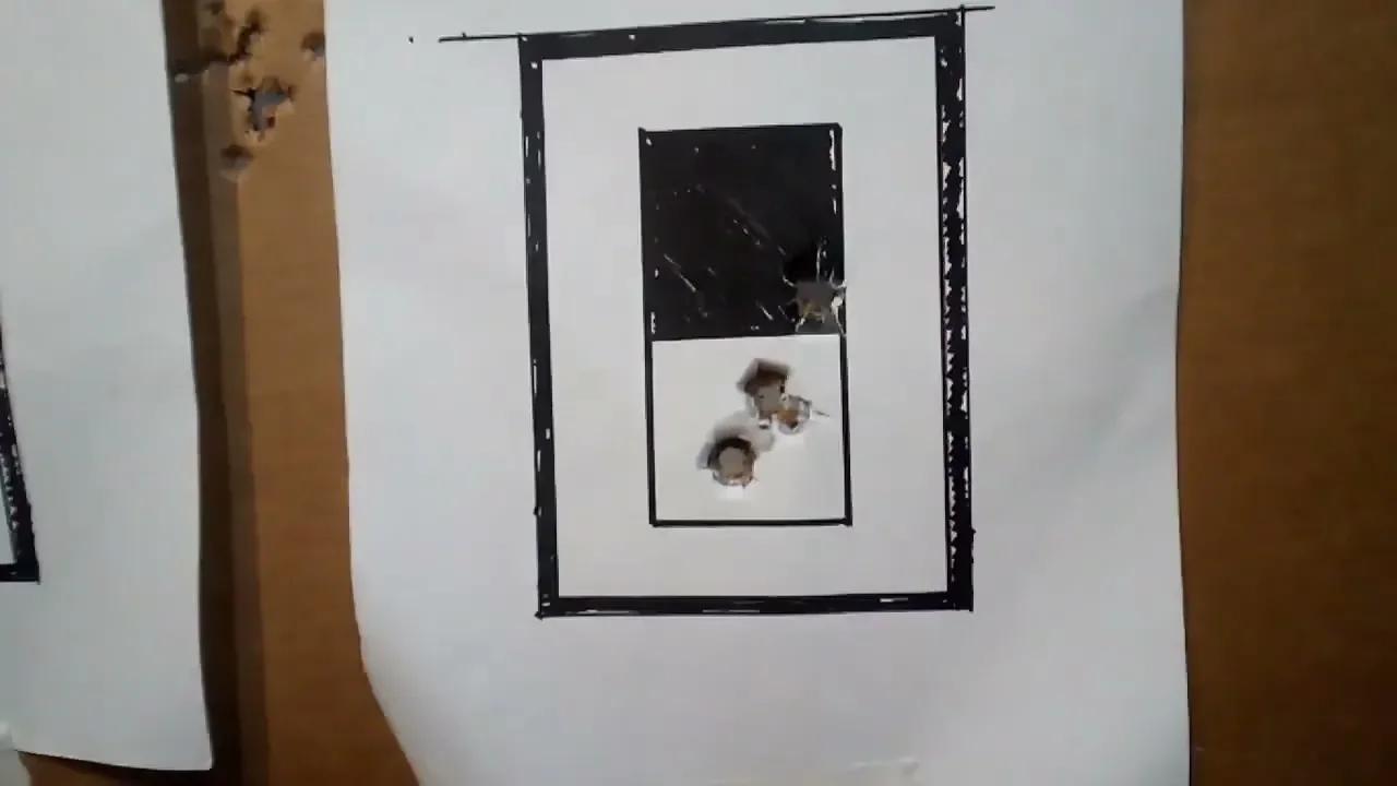 Duplex 450 Bushmaster load test (two bullets in one case)