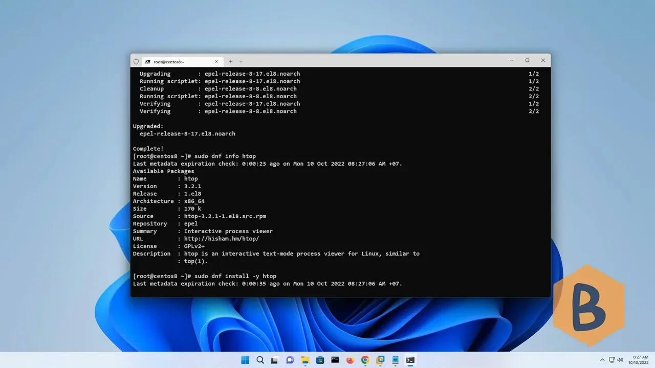 How to Download and Install htop in Centos 8 Server