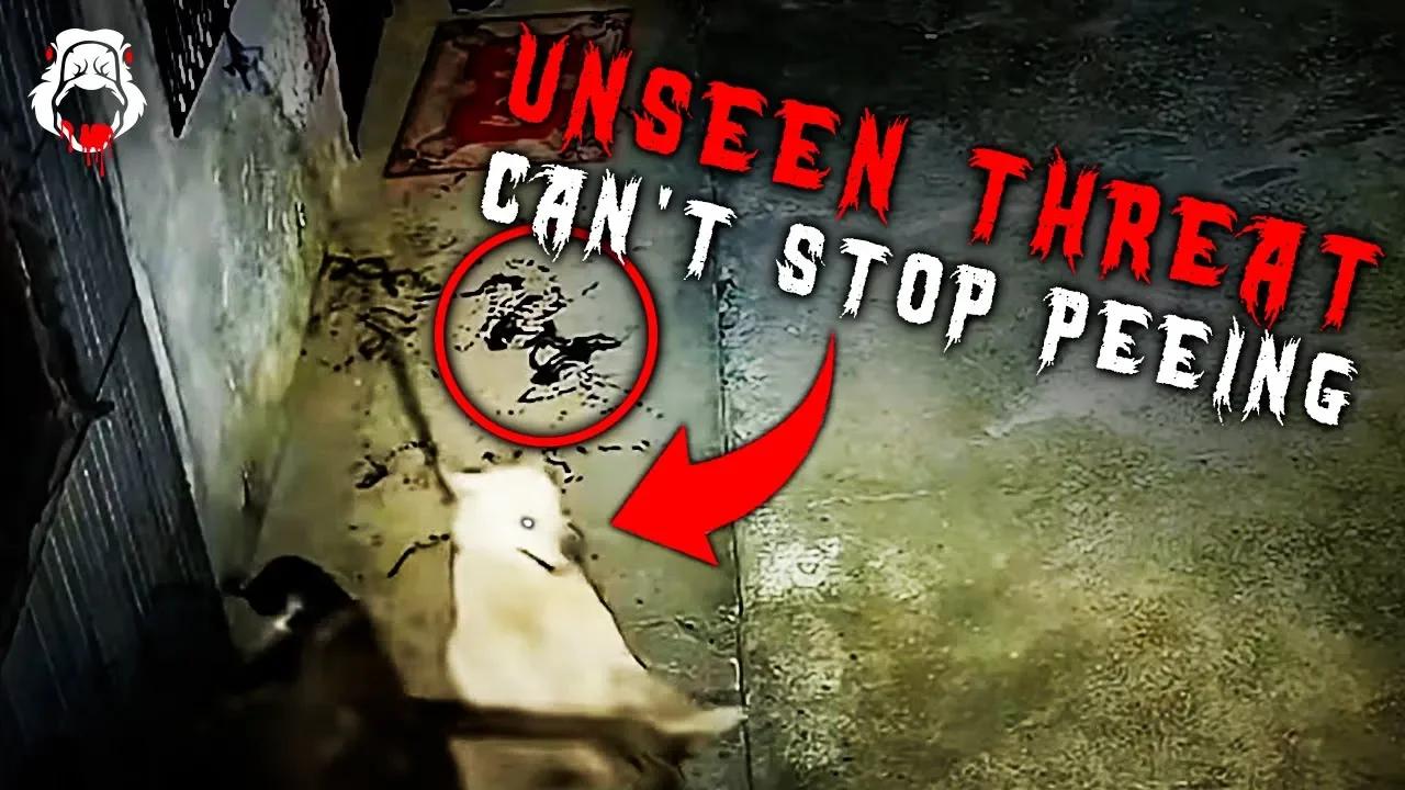 10 SCARY Videos of Dogs Shaken by Unseen Entities