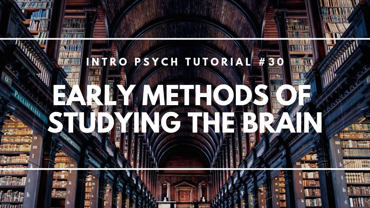 Early Methods of Studying the Brain (Intro Psych Tutorial #30)