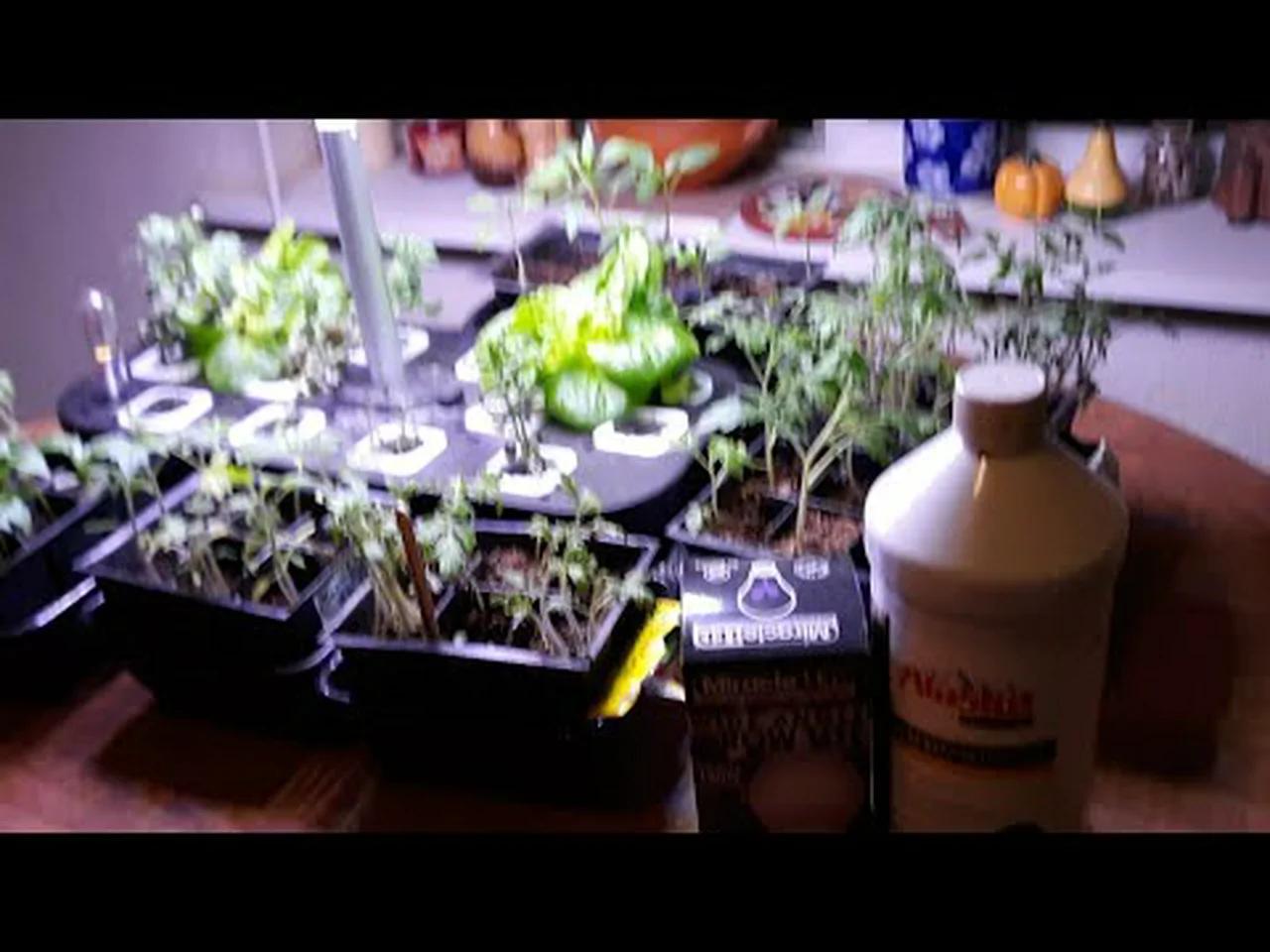 2/22/2022 Update for Off Grid Desert Farming