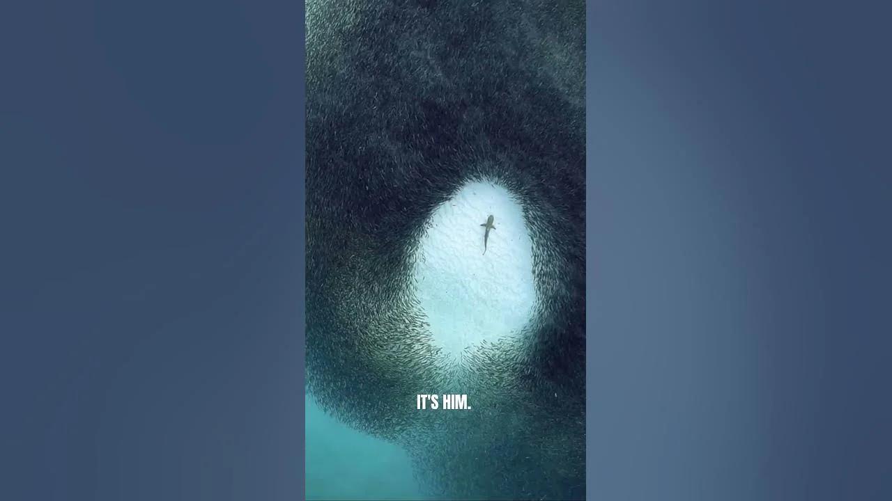 YOU are HIM 🔥 #discipline #motivation #consistency #training