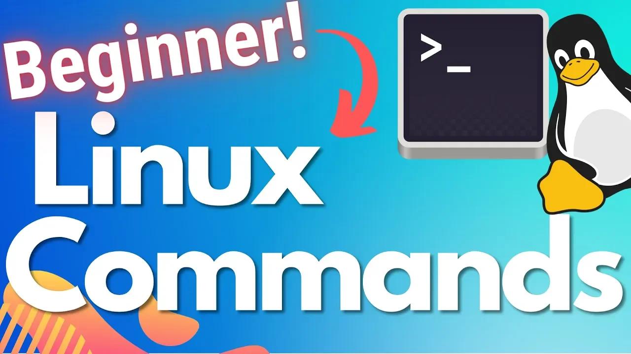 Linux Terminal Commands for Absolute Beginners - Learn how to start using the Terminal!