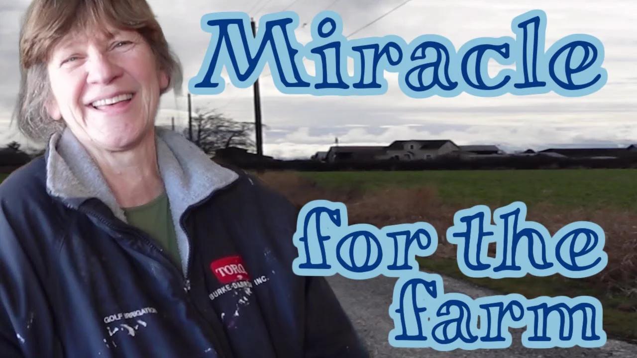Miracle for the farm