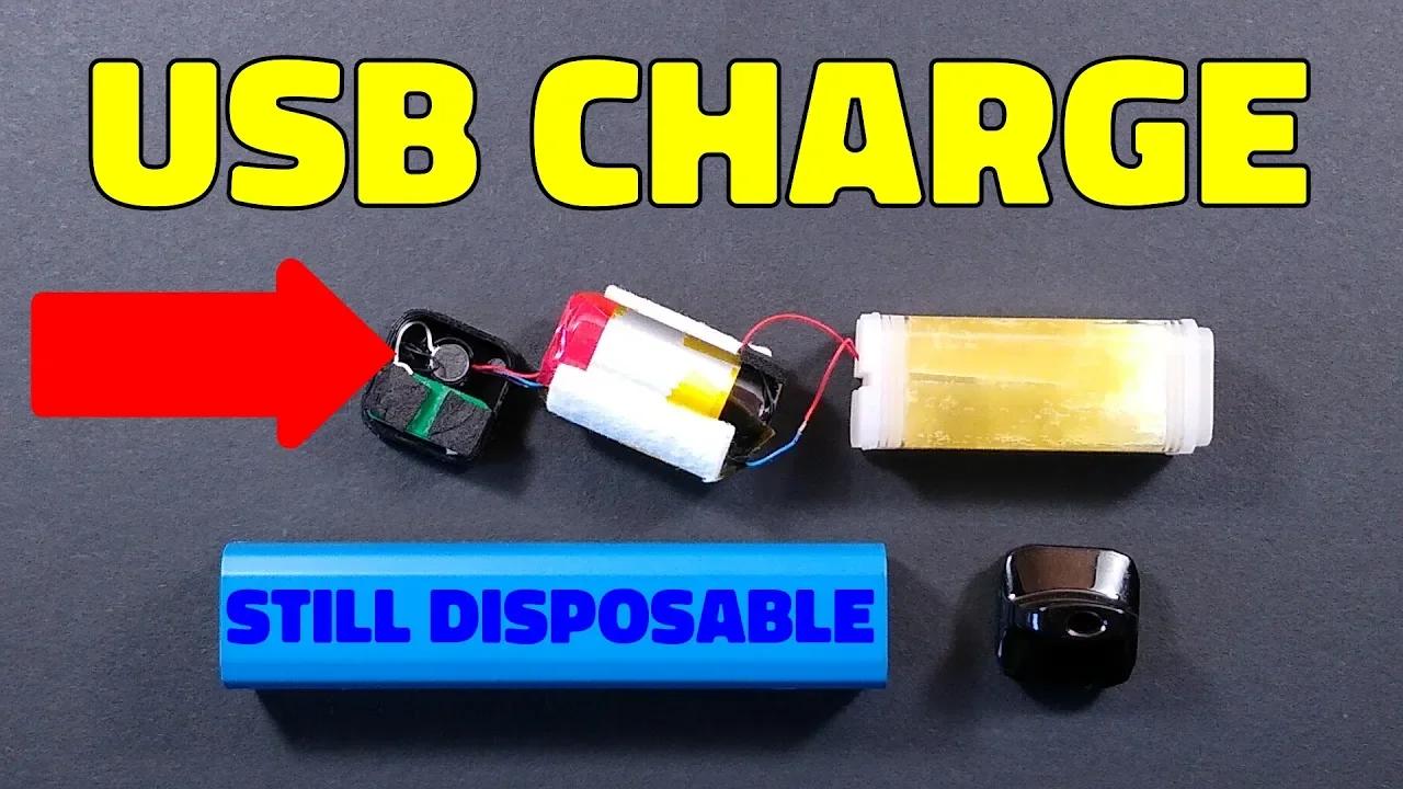 inside a disposable with charging port