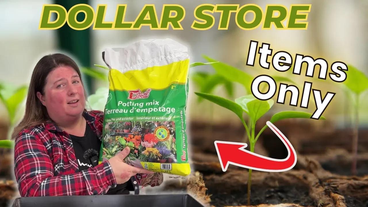 Starting Seeds Dollar Store Items Only