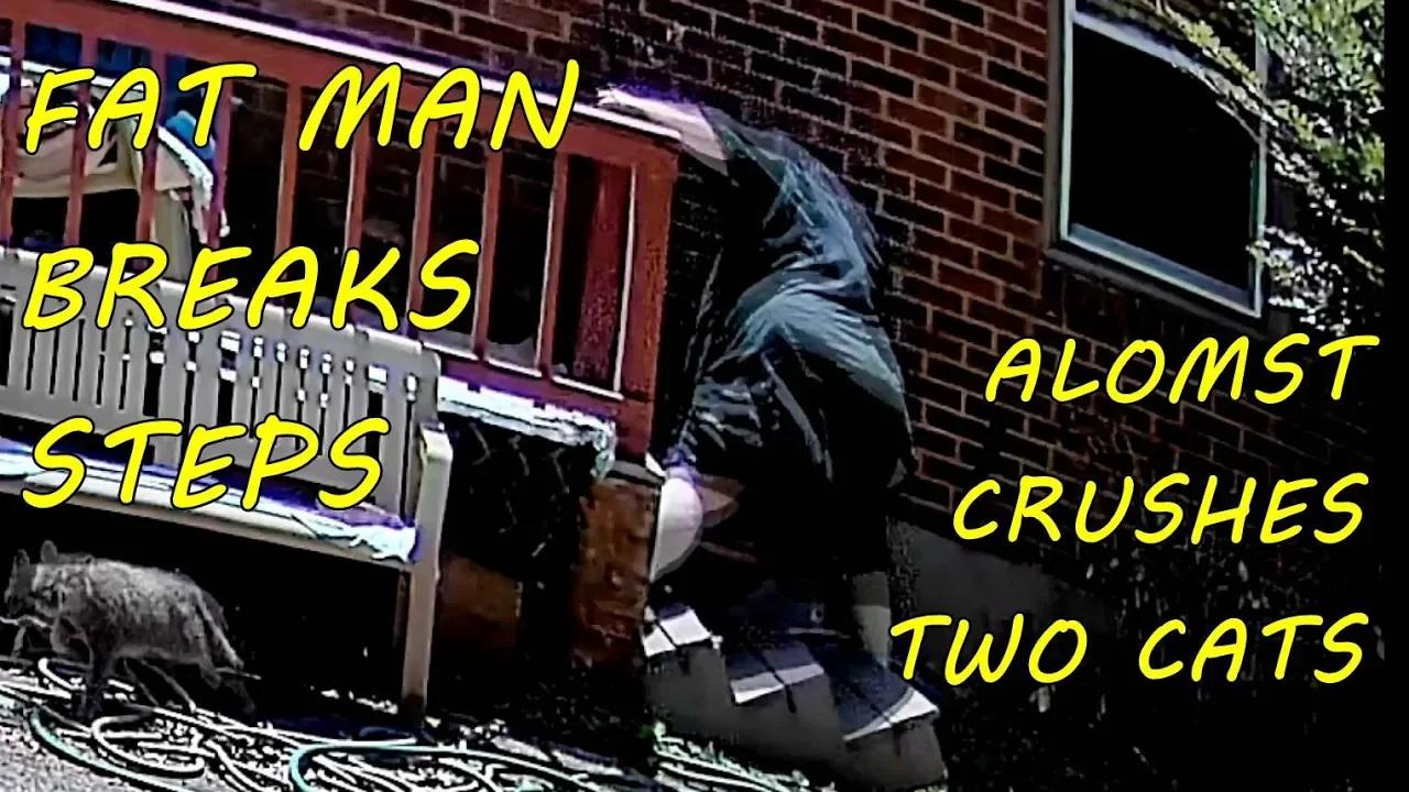 Fat Man Breaks Steps and Nearly Crushes Two Cats