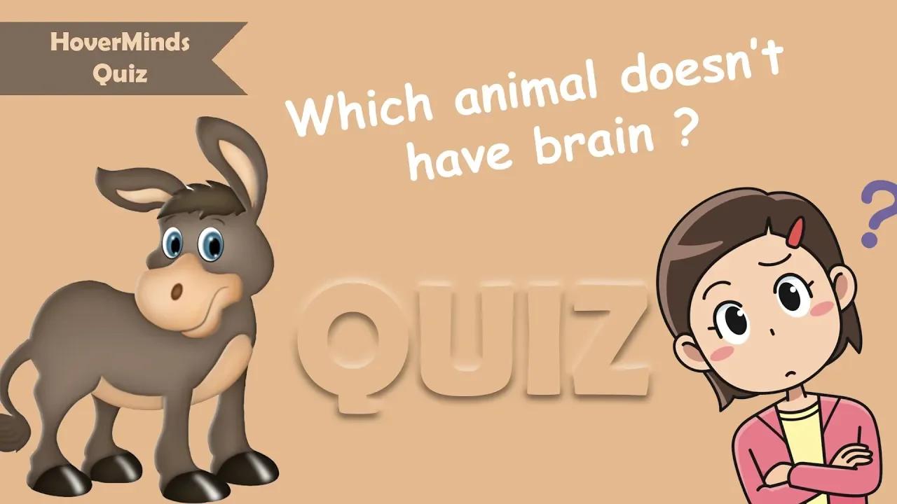 General knowledge questions with answers | reel 2