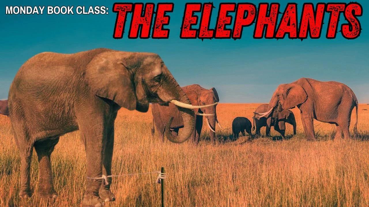 MONDAY BOOK CLASS - THE ELEPHANTS