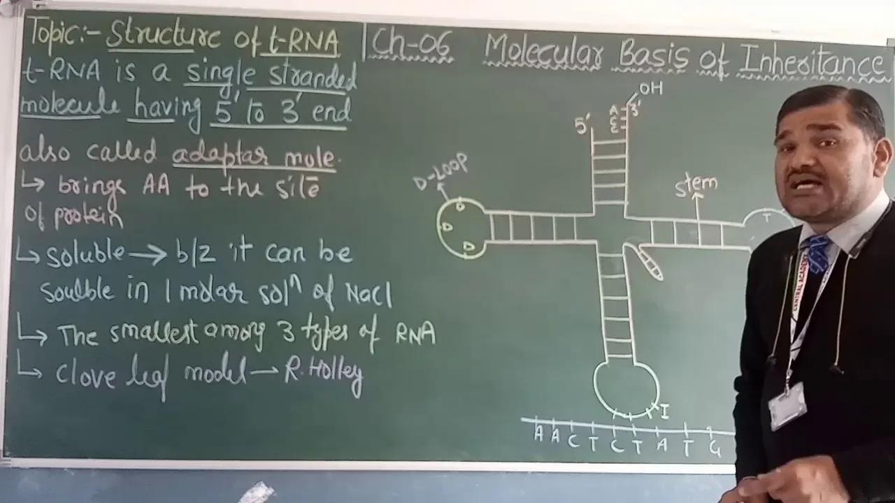 Class XII Ch 6 Molecular Basis of Inheritance Part 20