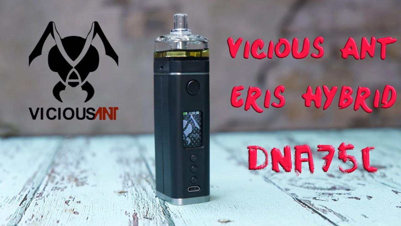 Vicious Ant - Eris Hybrid - DNA75c