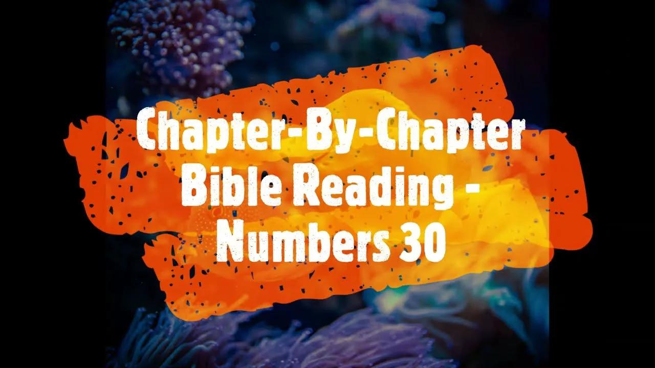 chapter-by-chapter-bible-reading-numbers-30