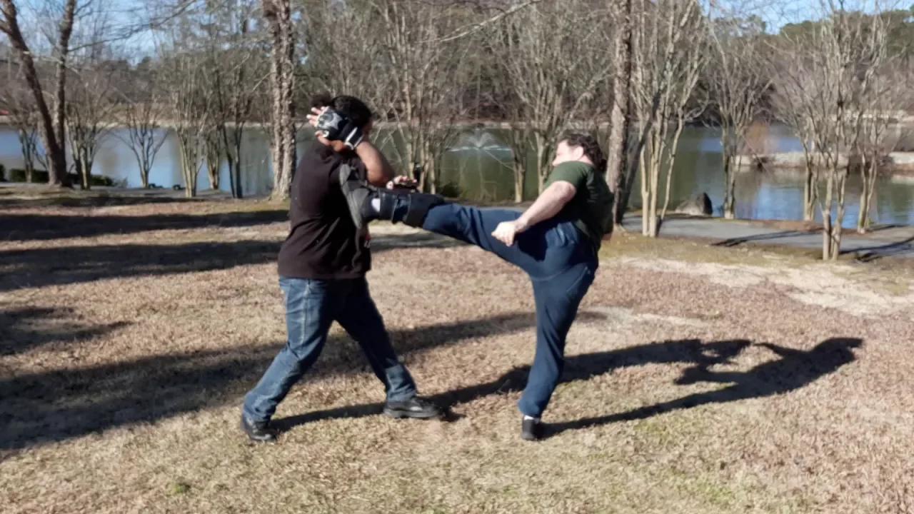 Advanced MMA: Combo Cluster 4 Liver Shots & Free Kicks Cool Neo ...