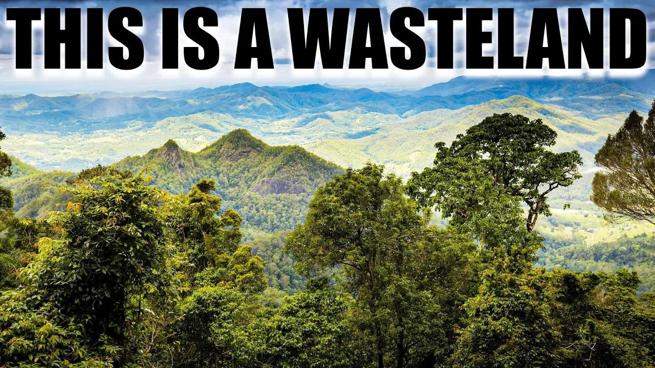 Remember No Forests On Earth?