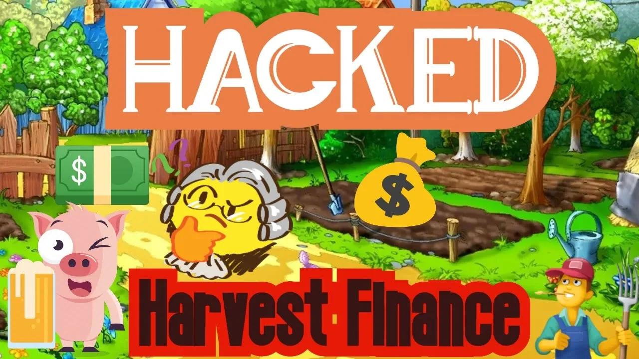 Harvest Finance Hack - FARM Token Crash Update