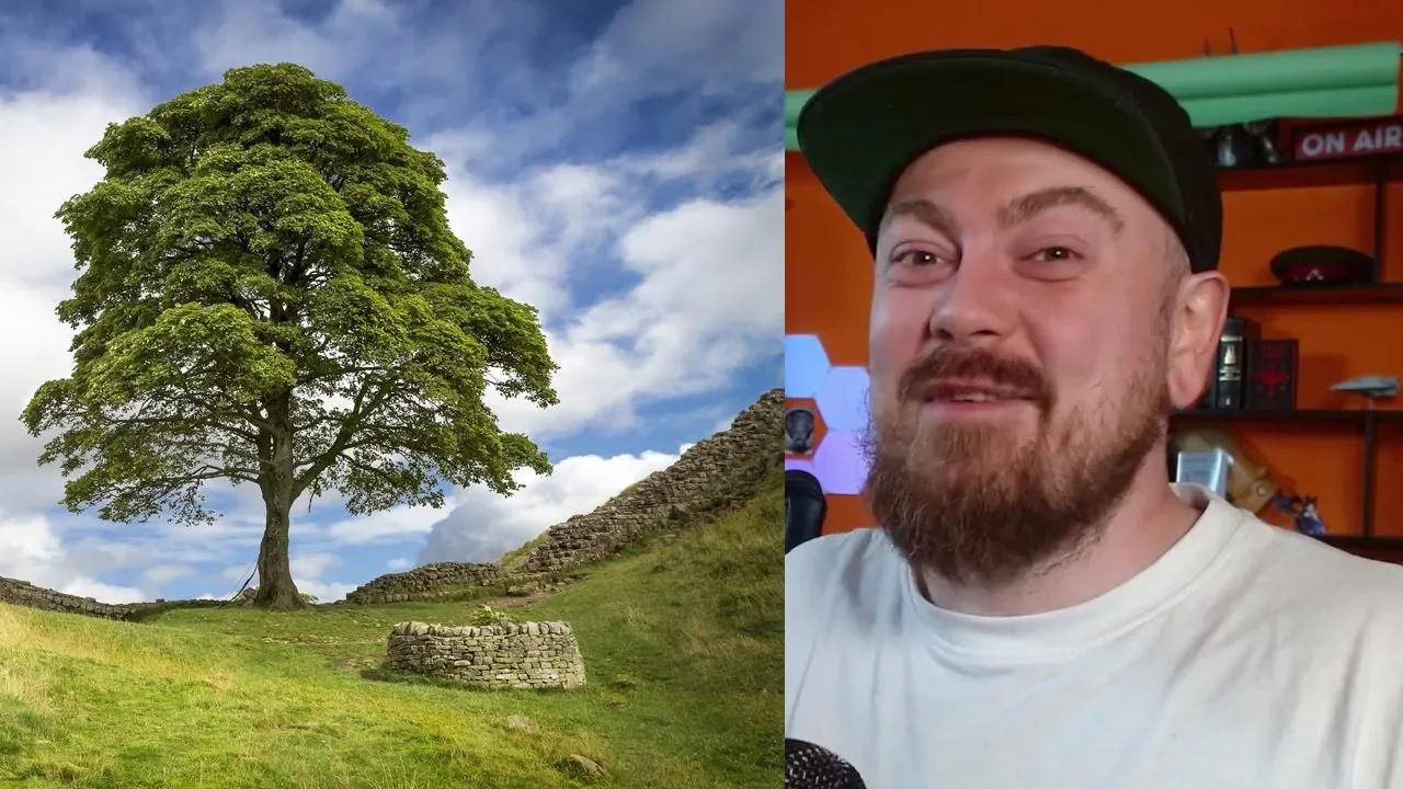 The Trial Of The Tree Fellers Begins