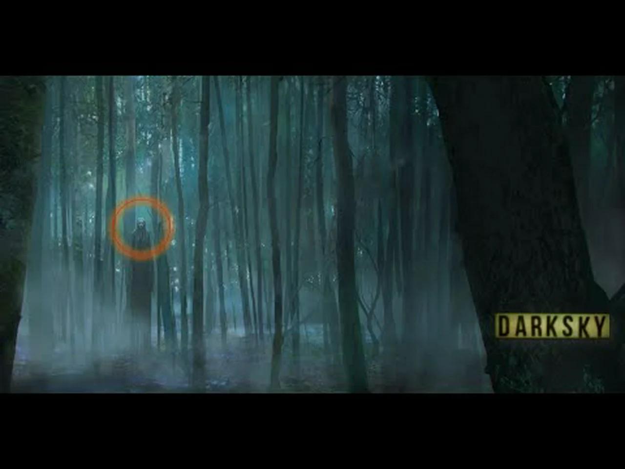 (TOP 5) Most Disturbing National Park Disappearances