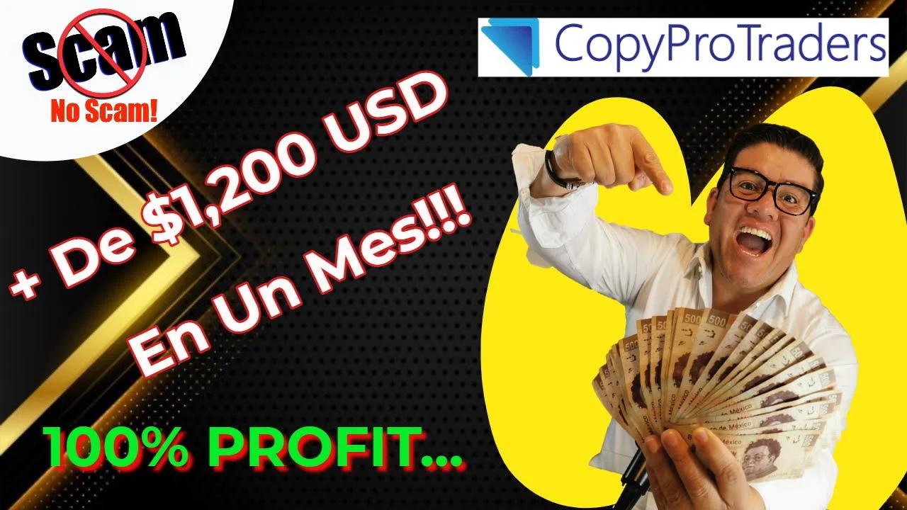 🔥 Copy Pro Traders Resultados [Oct-2021]| Como Hacer Trading Automatico ...