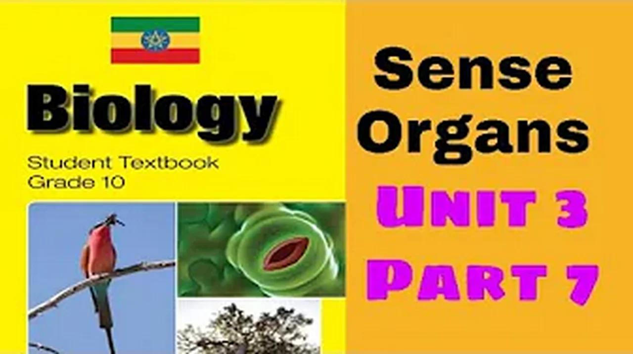 Ethiopian Grade 10 Biology Unit_3 p_7 Sense Organs