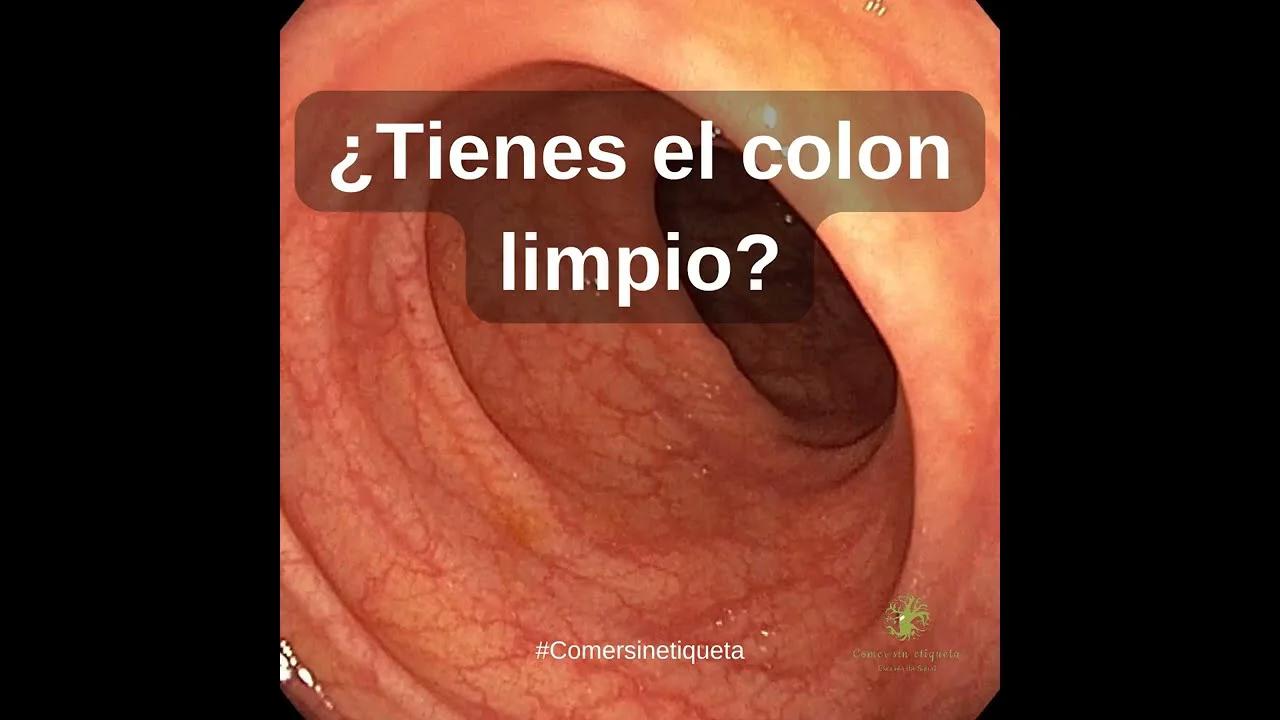 ¿Tienes el colon limpio?