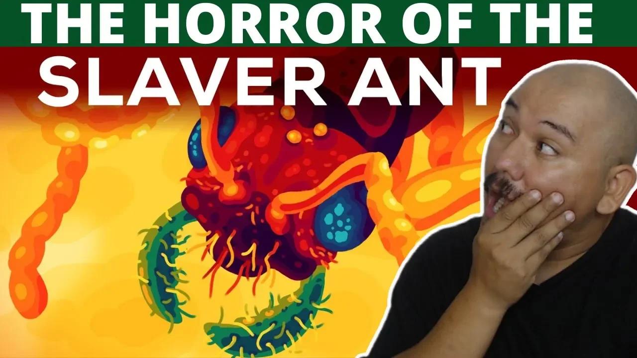 The Horror Of The Slaver Ant Reaction Kurzgesagt In A Nutshell