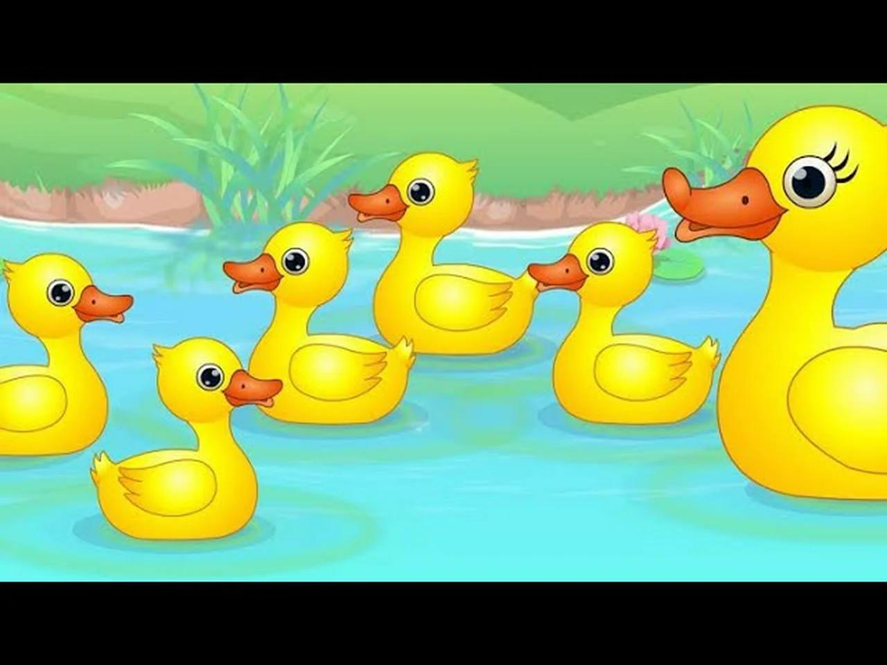 5 Ducks 🐥 Nursery Rhymes | Puffy Kids TV Nursery Rhymes and Songs