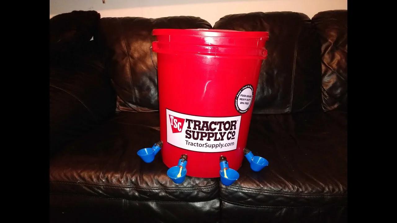 5 Gallon Cup Based Chicken Watering System DIY