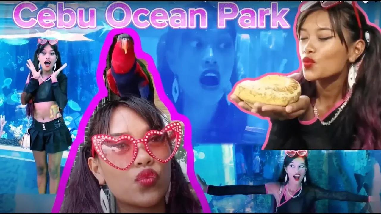 🇵🇭 TRAVEL TO AMAZING CEBU OCEAN PARK SEA ANIMALS AQUARIUM Off Grid ...