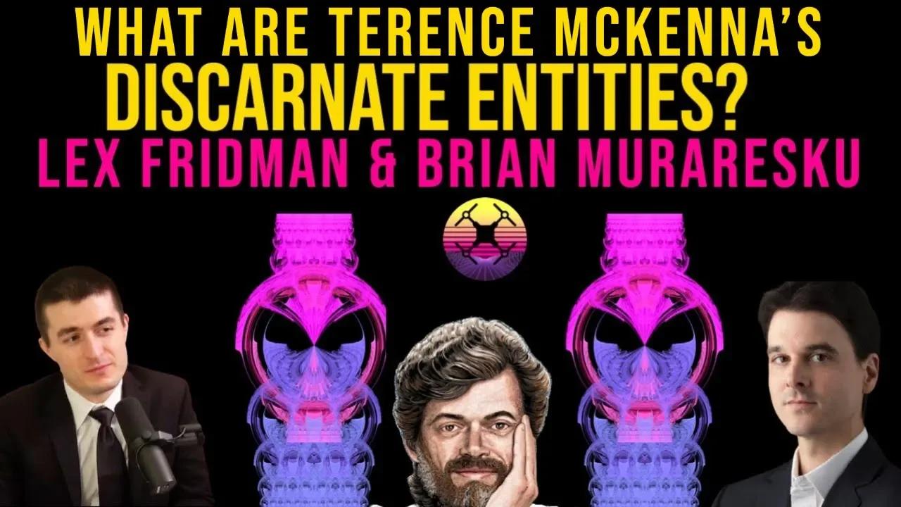What are Terence McKenna's Discarnate Entities? - Lex Fridman and Brian ...