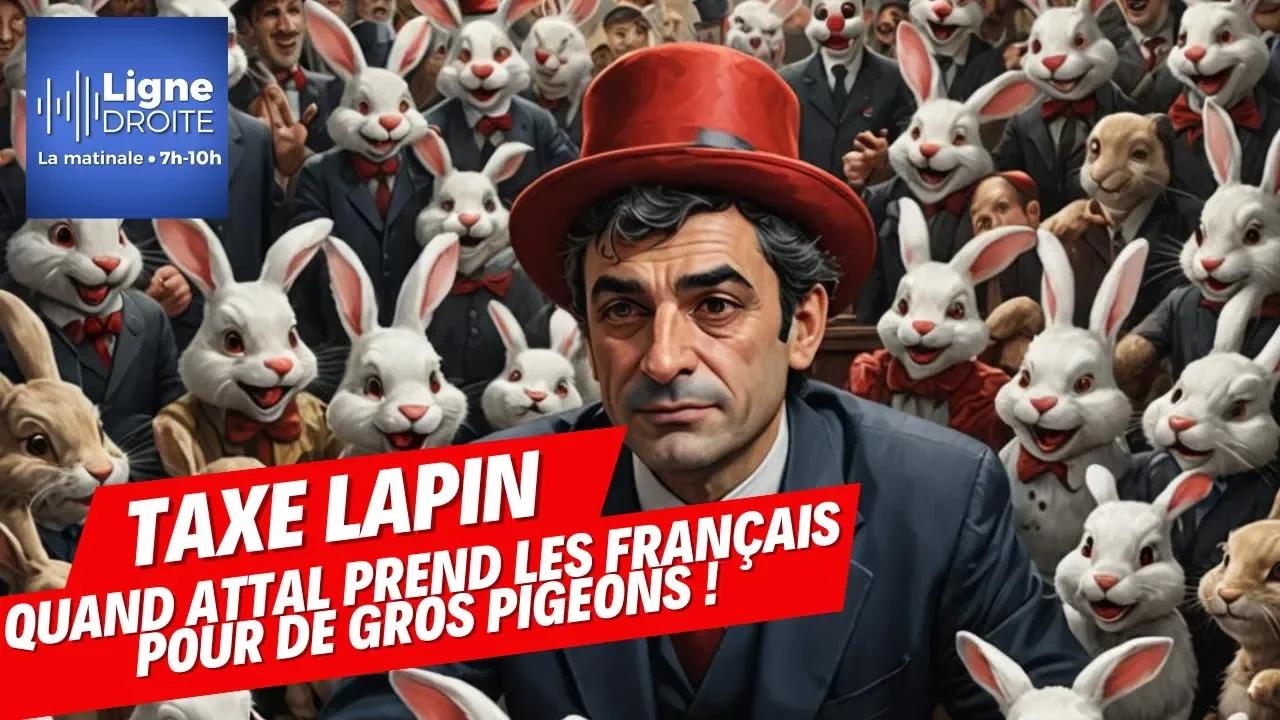 "Taxe Lapin : quand Gabriel Attal prend les Français pour des pigeons ...