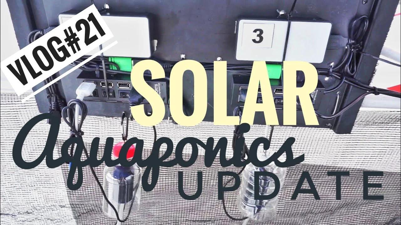 Solar Aquaponics System Update 🇵🇭 (Bell Siphon, Aquatic Plants, Filter ...