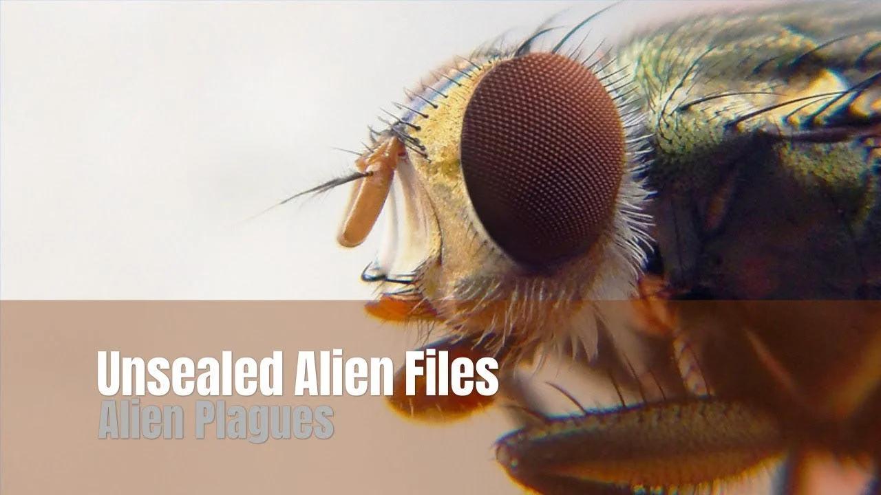 Unsealed Alien Files Alien Plagues