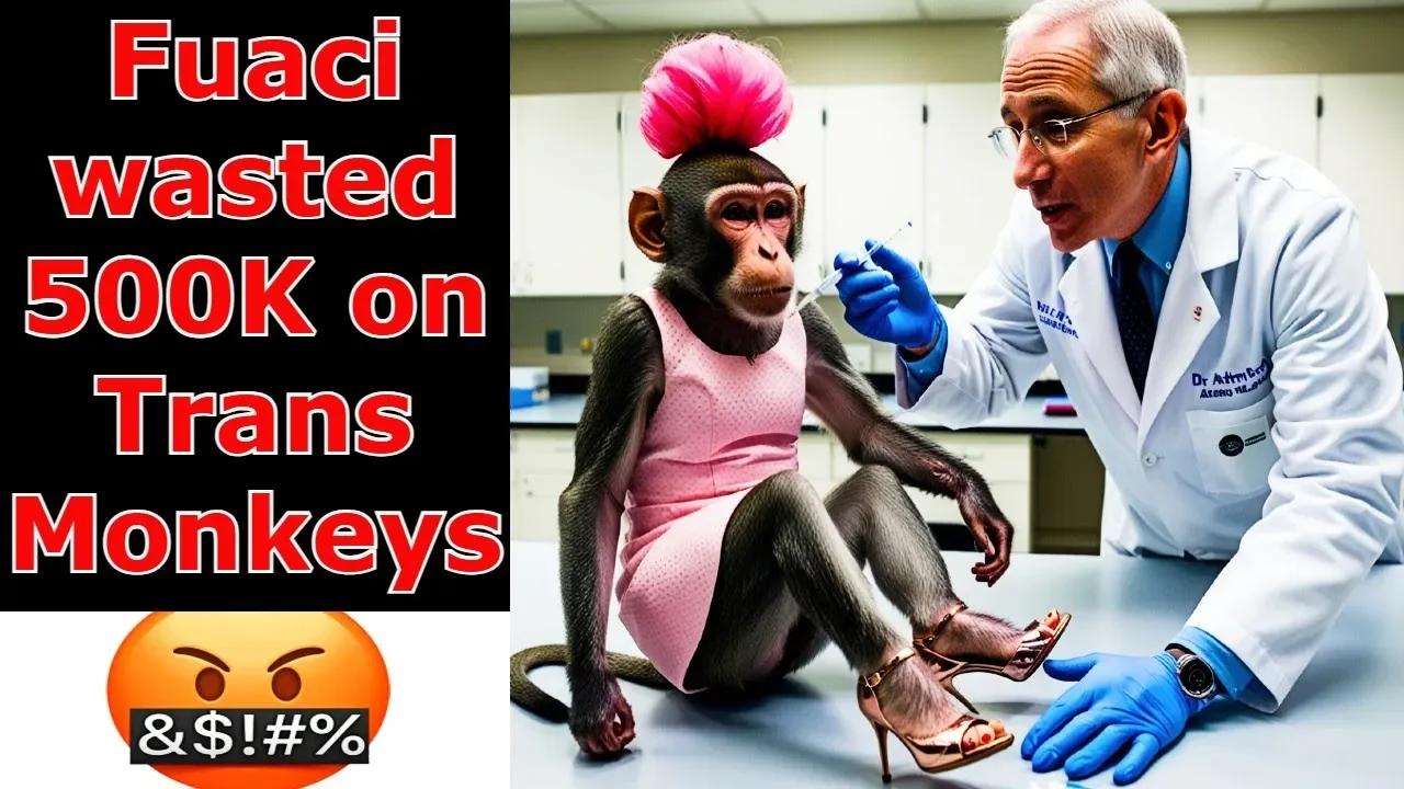 Dr. Fauci wasted Half a Million dollars on Trans Monkeys!
