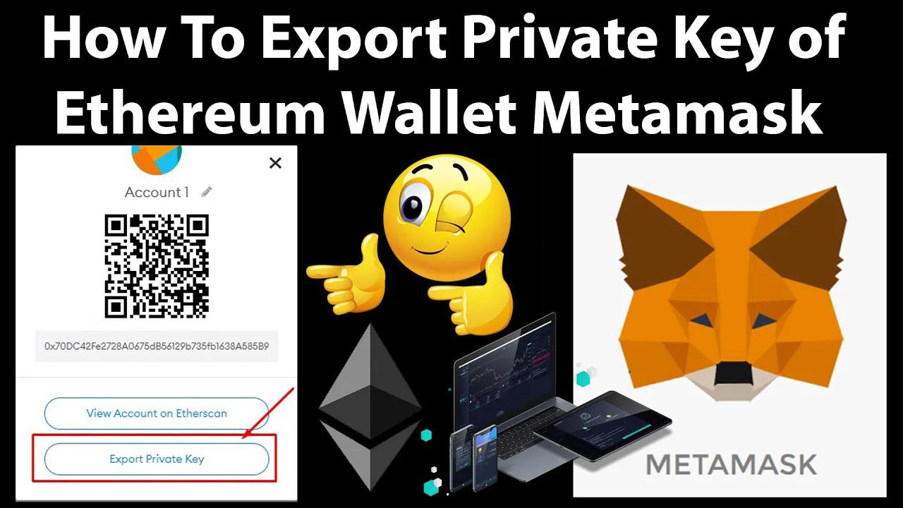 How To Export Private Key from MetaMask Wallet | Metamask Wallet