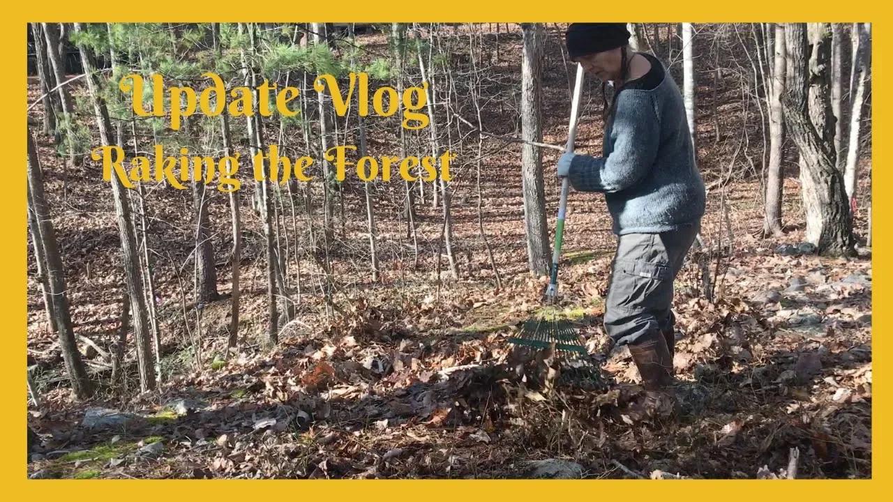 Betty Rakes the Forest