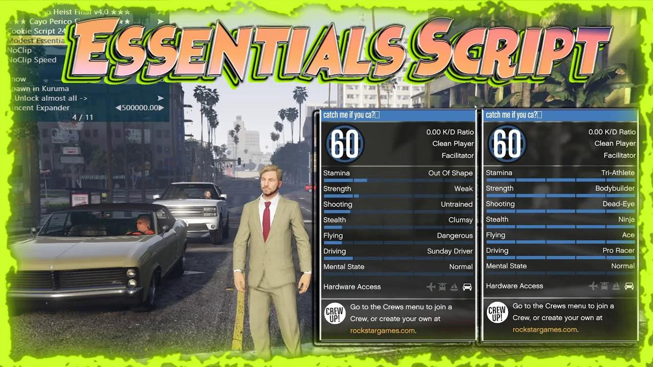 Essentials Script Rank Editor, Max Stats Script for Kiddions Modest ...