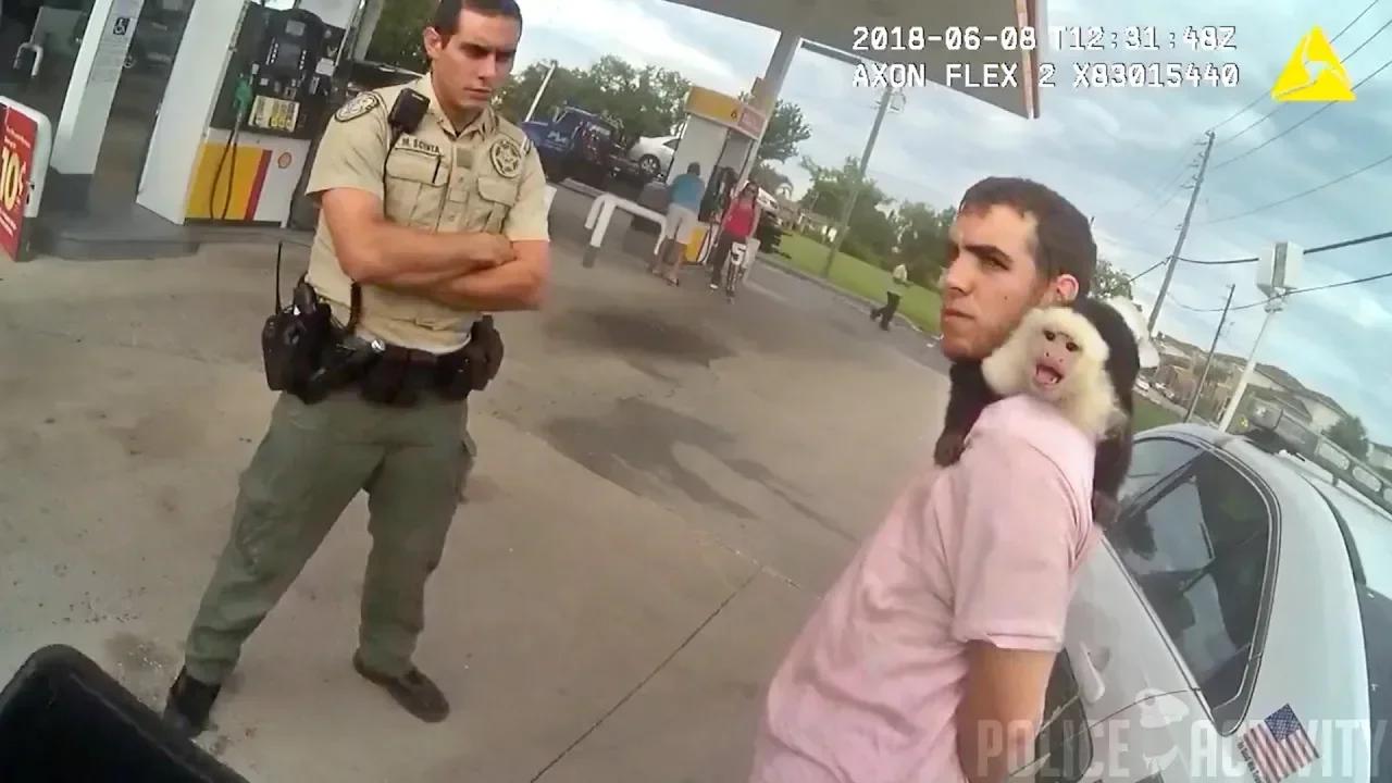 Bodycam Shows Monkey Clinging to Man During Stolen Car Arrest