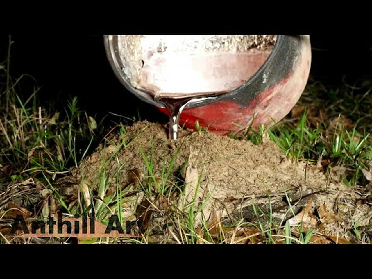 Casting a Fire Ant Colony Built Around a Log with Molten Aluminum (Cast ...