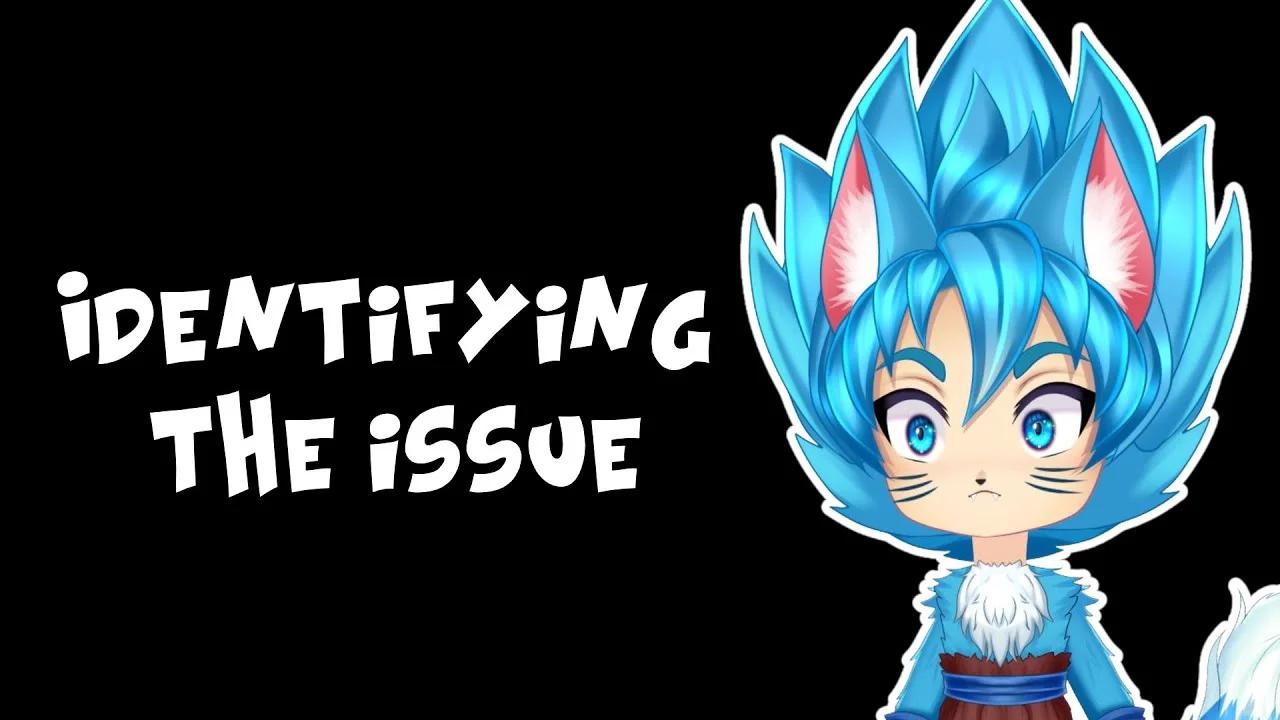 Identifying The Issue