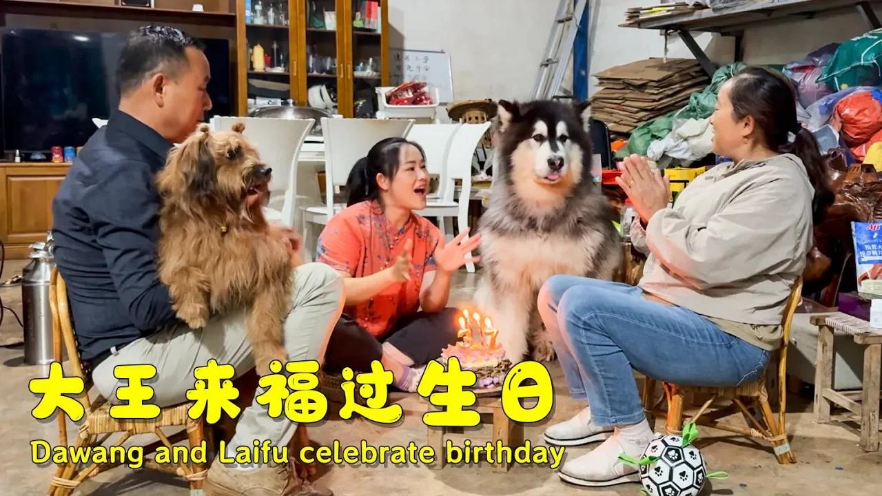 Celebrating the birthdays of our two dogs—Da Wang is now 7 years old ...
