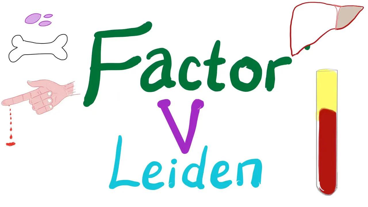 Factor V Leiden | Hypercoagulability